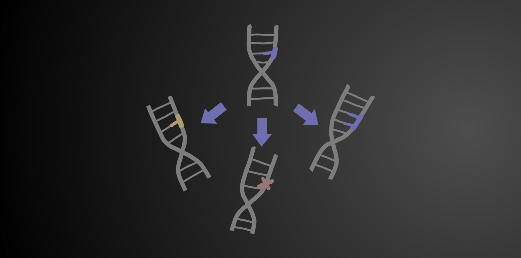 Mutation | ara721.art